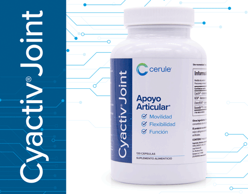 Inicio | Cerule - Construyendo vidas extraordinarias - Cerule International