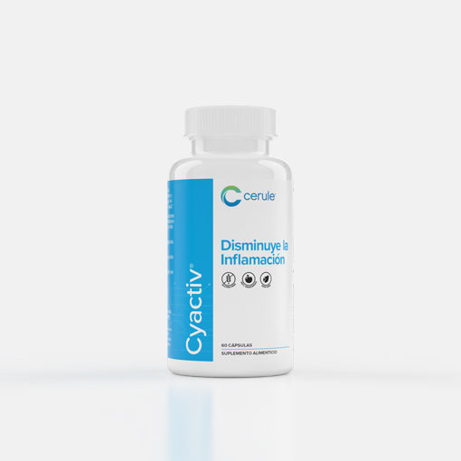 Inicio | Cerule - Construyendo vidas extraordinarias - Cerule International