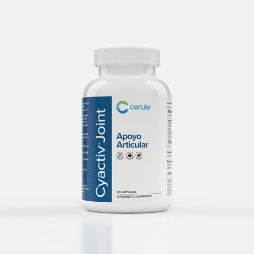 Inicio | Cerule - Construyendo vidas extraordinarias - Cerule International