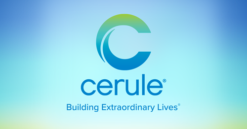 Contact Us - Cerule International